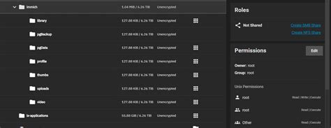 Immich Stuck In A Deploying State Apps And Virtualization Truenas Community Forums