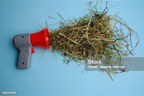 건초는 붉은 라우드 스피커에서 날아갑니다 파란색 배경에 빨간 소리 대화 풍선 문자 기호에 대한 스톡 사진 및 기타 이미지 대화 풍선 문자 기호 디자인 디자인 요소