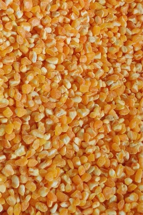 Dry Yellow Maize Grid For Goat Feed Packaging Type Pp Bag At ₹ 28 Kg In Pune