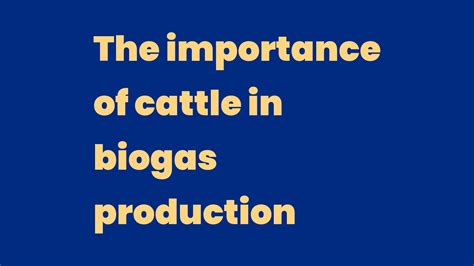 The Importance Of Cattle In Biogas Production Write A Topic