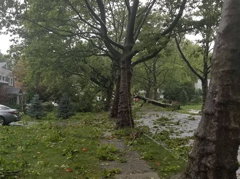 Hurricane Isaias Aftermath Rnatureismetal