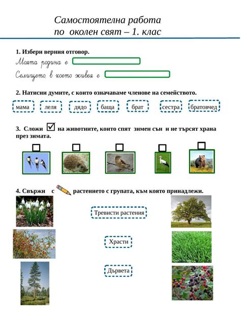 Самостоятелна р… Free Interactive Worksheets 5714101