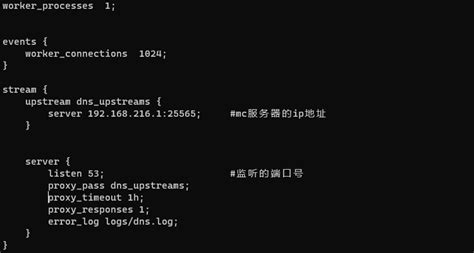 nginx代理我的世界服务器 哔哩哔哩