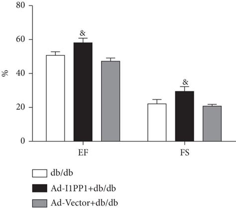 i1pp1 overexpression reverses cardiac dysfunction of db db mice a c