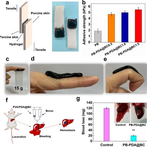 A Schematic And Photographs Of Adhesion Strength Test B Adhesion