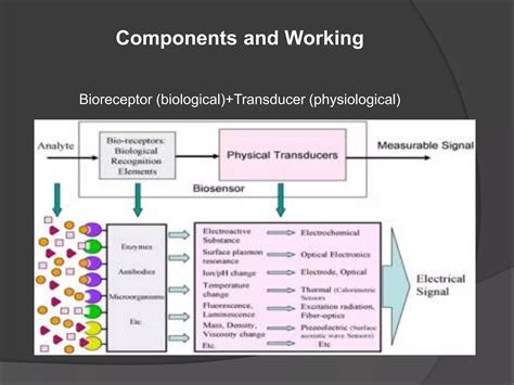 Enzyme Biosensor Final Pptx