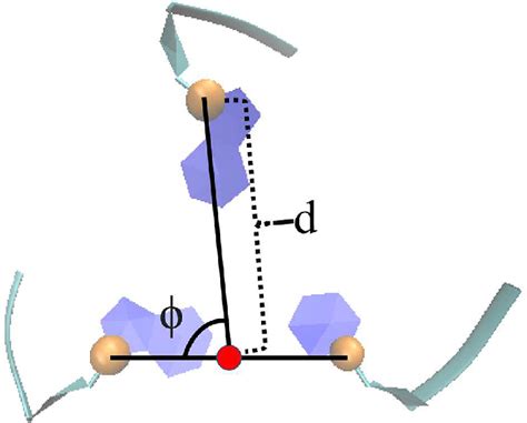 Schematic Illustrating The Definition Of Parameters ϕ And D Download