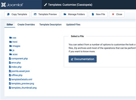 Customize Your Cassiopeia Template
