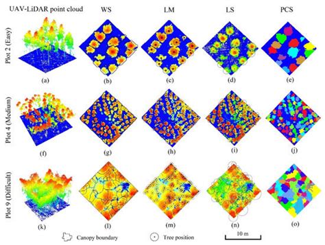 Remote Sensing Free Full Text Performance And Sensitivity Of Individual Tree Segmentation