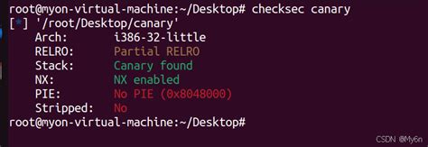 pwn基础 利用格式化字符串漏洞泄露canary结合栈溢出getshell ctf pwn格式化字符串can csdn博客