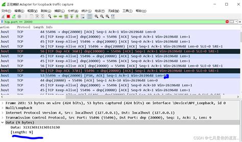 Wiresharkgo捕获本地tcp通信捕捉tcp连接 Csdn博客