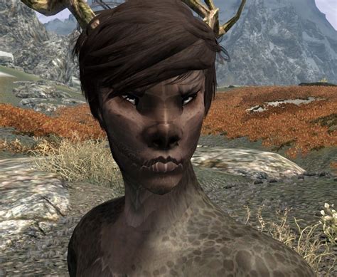 Skyrim Beast Race Mods