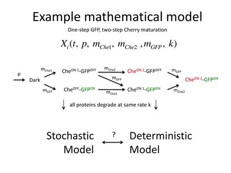 Mathematical Model