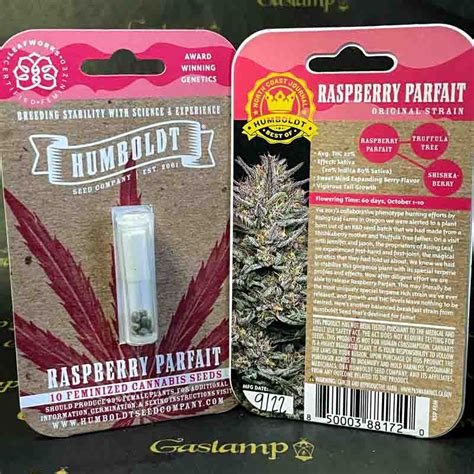 Humboldt Seed Company Raspberry Parfait 10 Feminized Seeds Gaslamp Seeds Humboldt Seed Company Raspberry Parfait 10 Feminized Seeds Gaslamp Seeds