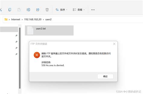 ftp多目录和多用户配置（用户隔离 虚拟目录） 如何合理设置多个用户访问ftp服务器 csdn博客