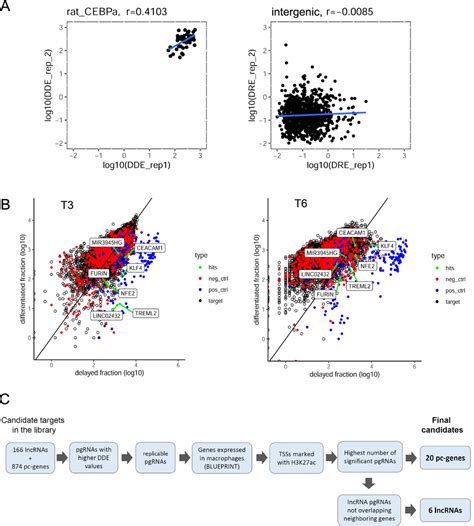 Identification Of Lncrnas And Protein Coding Genes Involved In