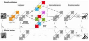 GLIP Introducing Language Image Pre Training To Object Detection Towards Data Science