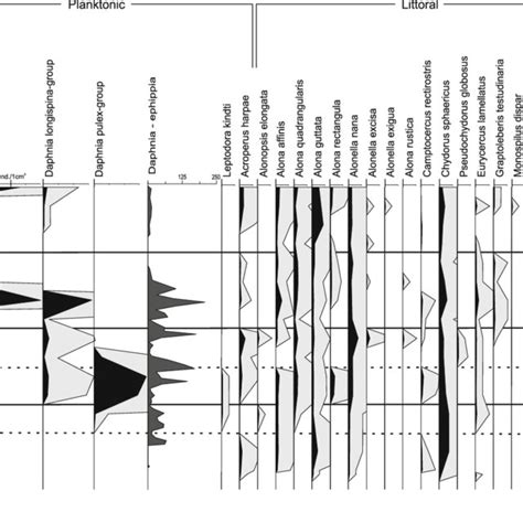 Development Of Cladocera Communities During The Late Glacial And Early