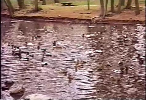 Secretary Works Overtime With Fat Dildo In Bosss Pussy Xhamster