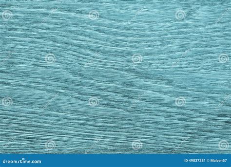 Longitudinal Section Through A Flower Stock Image 194437615