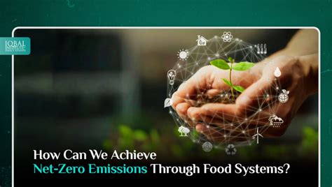 How Can We Achieve Net Zero Through Food Systems