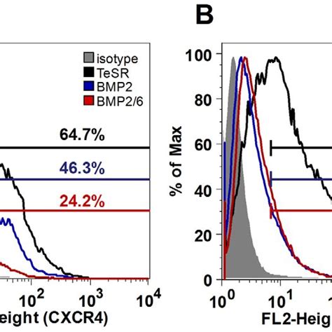 Expression Analysis Of Endodermal Marker Cxcr4 In Hes Cells Treated Download Scientific Diagram
