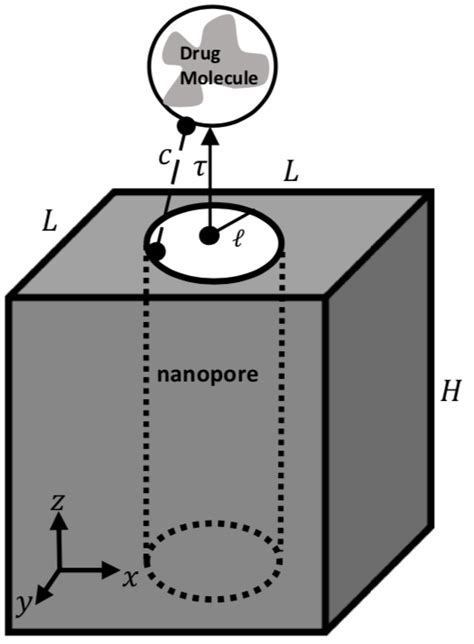 Optimized Geometry Of The Adsorption Of The Drug Molecule Onto Sio 2