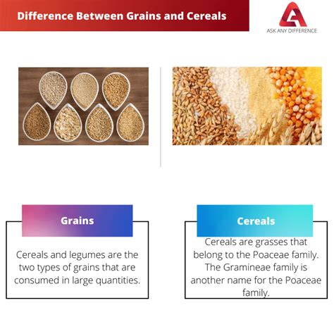 Grains Vs Cereals Difference Between Grains And Cereals Ask Any Difference