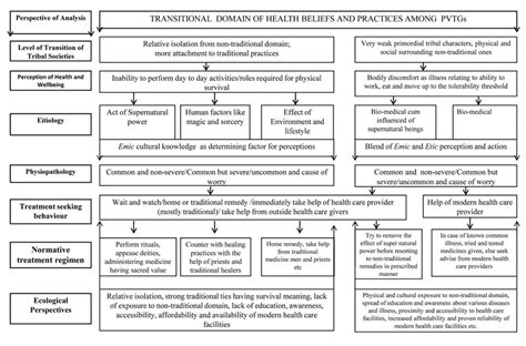 Conceptual Framework On Health Belief And Treatment Seeking Behaviour