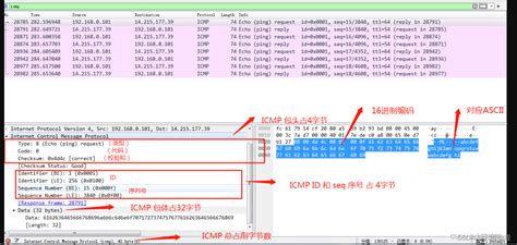 Php 基于icmp协议实现一个ping命令php中的pack和unpack函数 Csdn博客