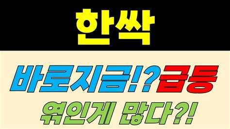 한싹 주가전망 바로지금 급등 엮인게 많다 Youtube