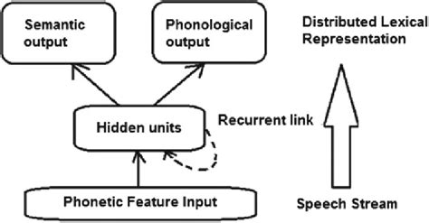 11 The Connectionist Distributed Cohort Model Of Gaskell And Download Scientific Diagram