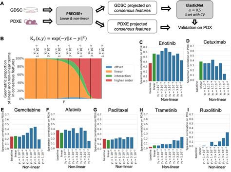 Impact Of Modelling Non Linearities For Drug Response Prediction Download Scientific Diagram