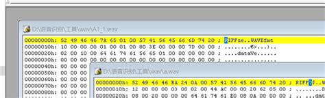 Sox Fail Formats Bad Input Format For File `wav Data Encoding Was