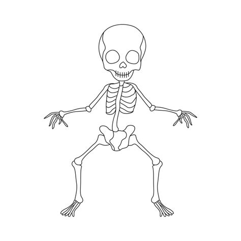 Continuous One Line Skeleton Drawing Outline Vector Art Illustration