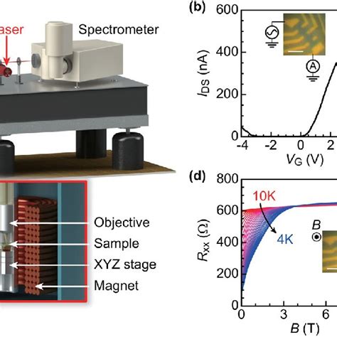 Cmos Inverter Based On N Type Mos2 And P Type Wse2 Fets A Schematic Of Download Scientific