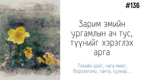 ЗӨВ ҮҮ ТАВ УУ 136 Зарим эмийн ургамлын ач тус түүнийг хэрэглэх арга