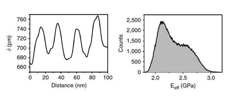 Bimodal Afm Forcetool Group