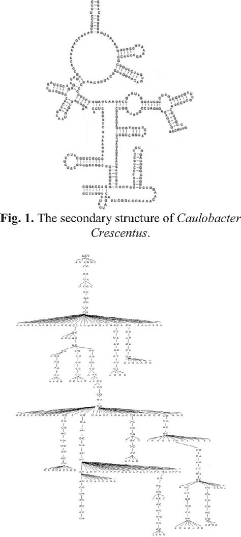 Figure 1 From An Efficient Seeded Tree Alignment Algorithm For Finding