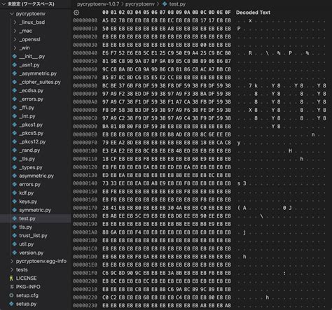 New Malicious Pypi Packages Used By Lazarus Jpcertcc Eyes Jpcert