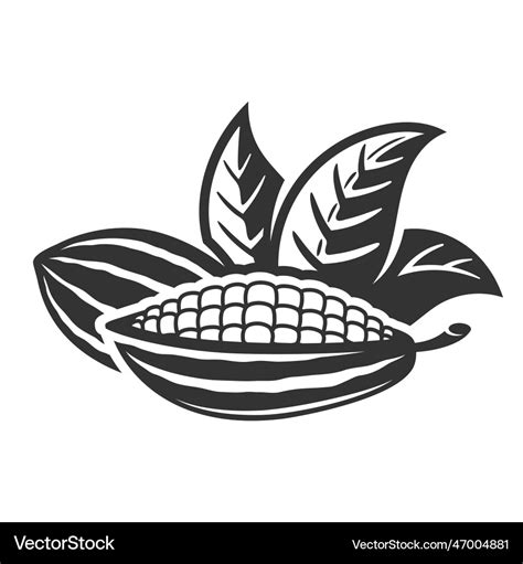 Cocoa Pod Royalty Free Vector Image Vectorstock