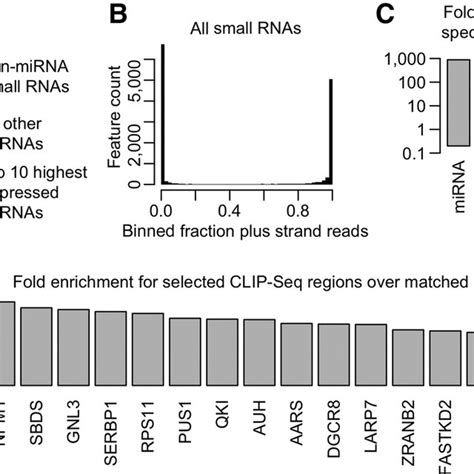 Description Of Small Rna Species In The Sequencing Study A The Total Download Scientific Description Of Small Rna Species In The Sequencing Study A The Total Download Scientific