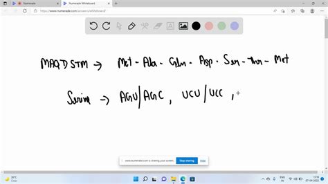 Solved If The Gene Synthesizing The Given Protein Maqdstm Produces A