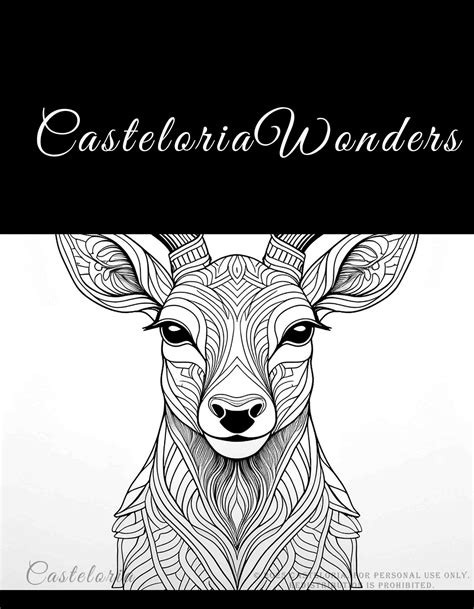 Animals With Patterns Casteloriawonders Animals With Patterns Casteloriawonders