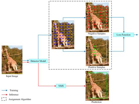 Sensors Free Full Text The Lightweight Anchor Dynamic Assignment Algorithm For Object Detection