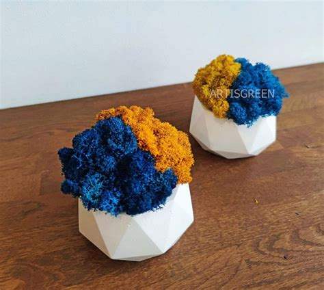 Стабілізований мох в бетонному кашпо Україна S131 2 продаж ціна у Києві Стабілізовані