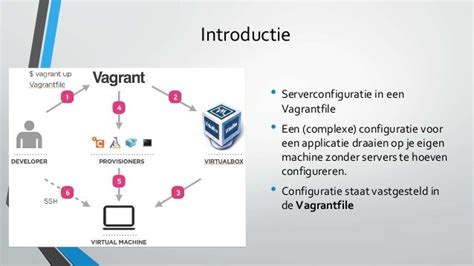 vagrant
