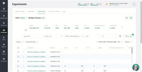 All About Experiment Views