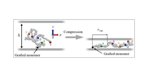 Ordering Of Functional Groups By Confining Grafted Chains Star