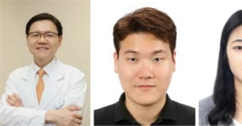 암세포 닮은 인공 조직 암 환자 예후 왜곡없이 예측